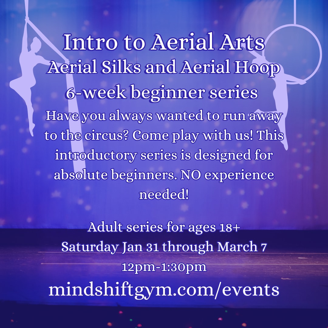 Intro to Aerials 6-week Series (Adults 18+) Beginner Friendly! - Joyraft