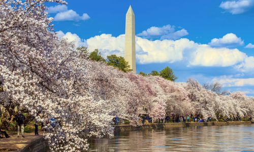 Washington, DC events & things to do in DC | Joyraft: Discover free ...