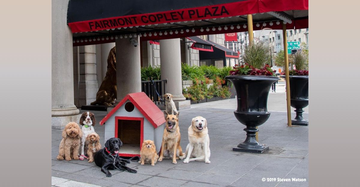 National Dog Day at Fairmont Copley Plaza [08/26/22]