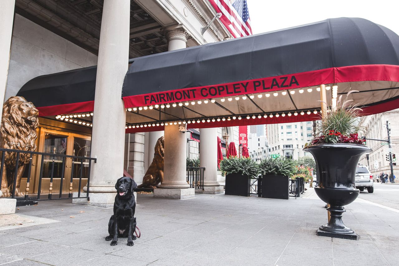 National Dog Day at Fairmont Copley Plaza [08/26/22]