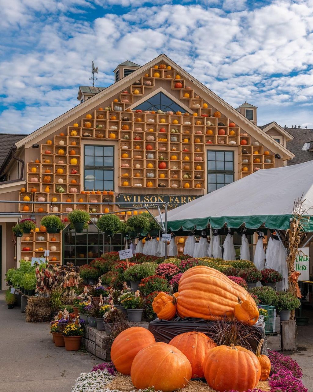 Wilson Farm Pumpkin Wall [09/20/22]