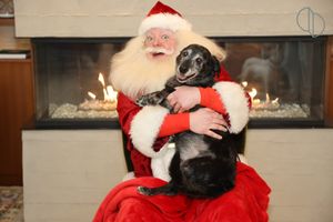 Picture Your Pet with Santa at The Colonnade Hotel [12/12/25]