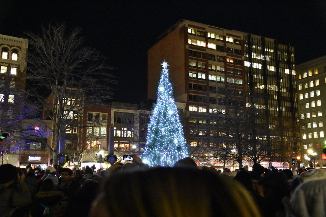 2025 Copley Square Tree Lighting & Grand Reopening of Copley Square ...