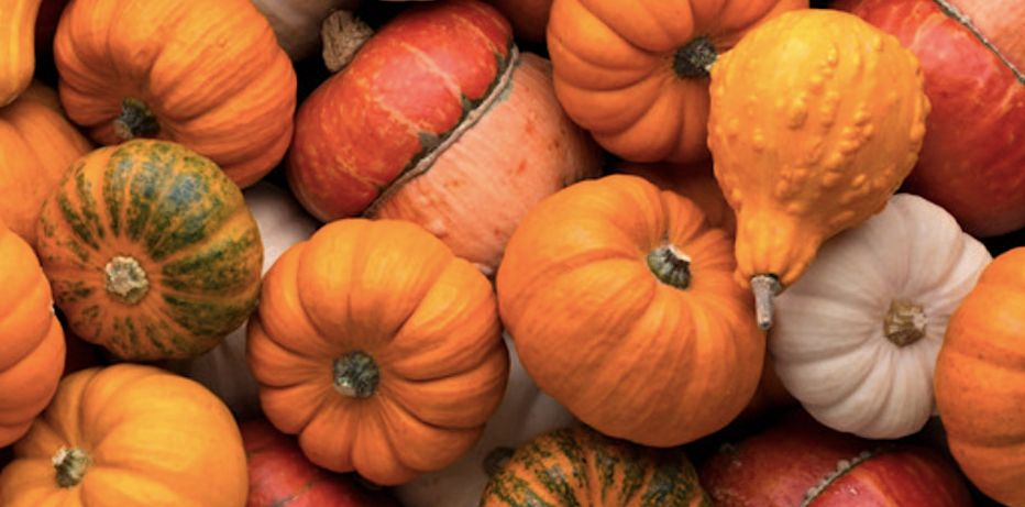 Fall Fest at Kendall/MIT Open Space - Joyraft