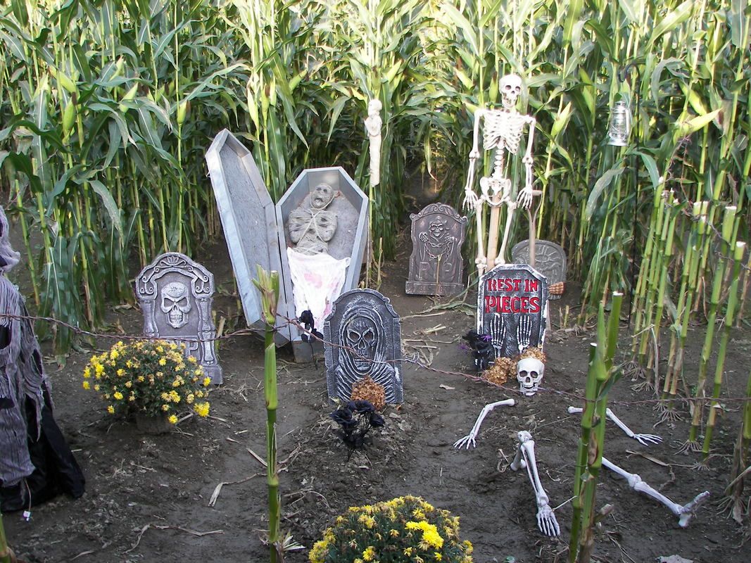 Hicks Family Farm Corn Maze & Haunted Nights at the Maze - Joyraft