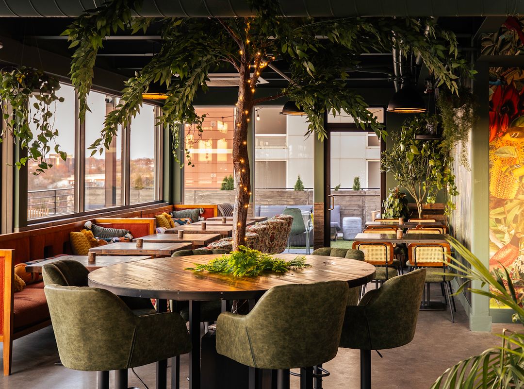 Treehouse Rooftop: NoMa Bar and Restaurant - Joyraft