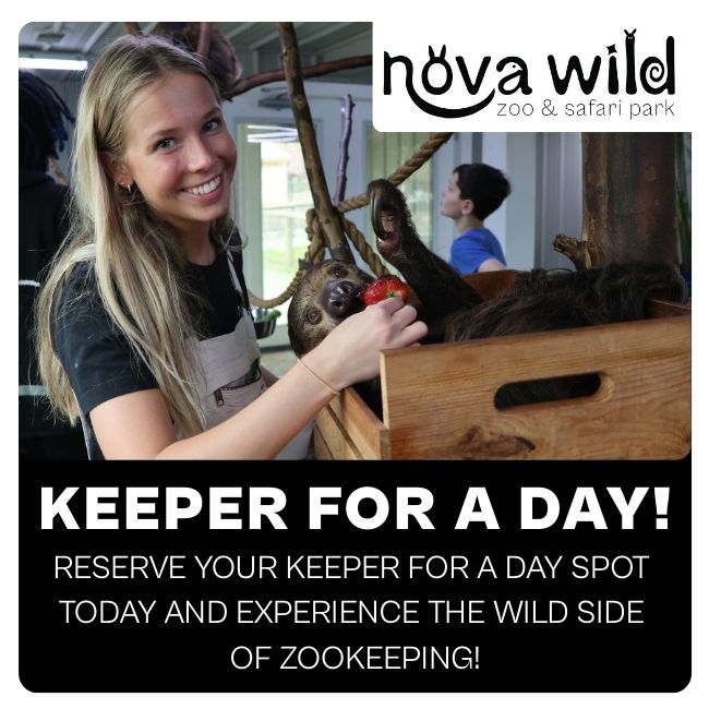 Keeper for a Day – NOVA Wild Exclusive Experience - Joyraft