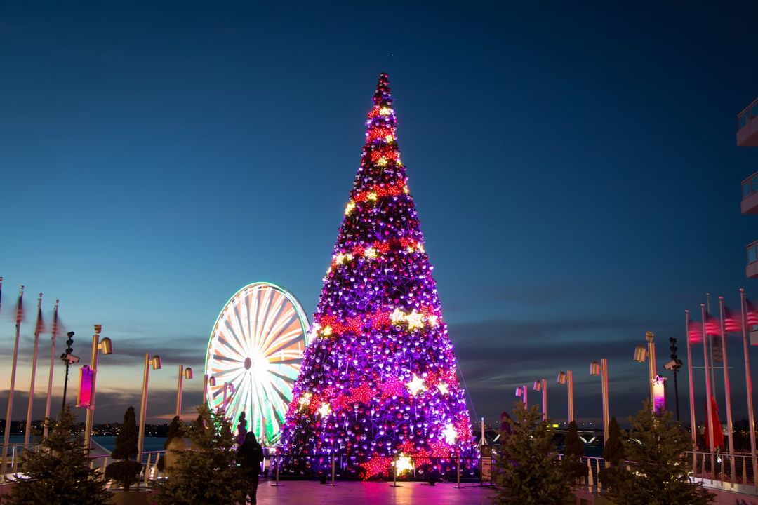 FREE Nightly Tree Lighting Show at National Harbor - Joyraft