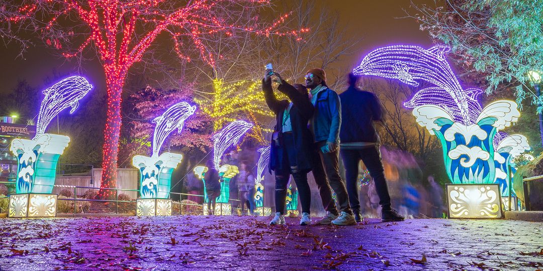 ZooLights! at the Smithsonian's National Zoo - Joyraft