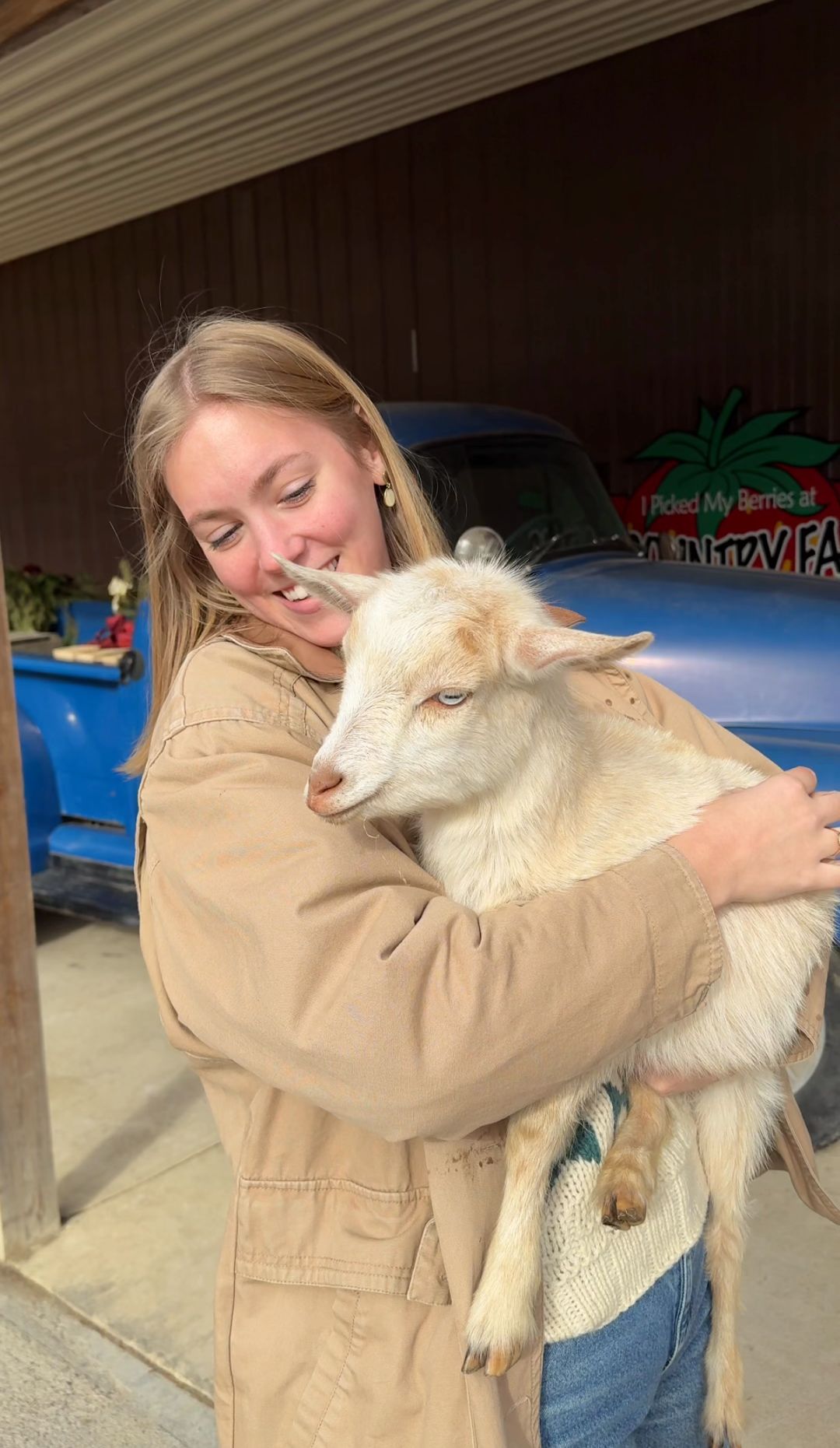 Goat Cuddling & Grooming Experiences at Great Country Farms - Joyraft