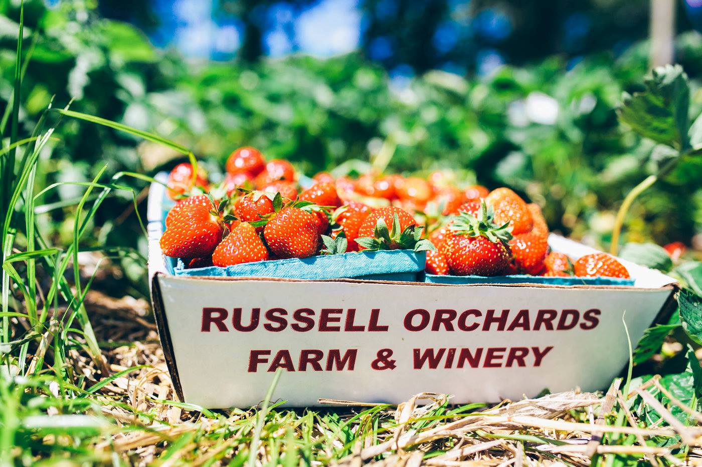 Wine Tastings At Russell Orchards 05 03 24 