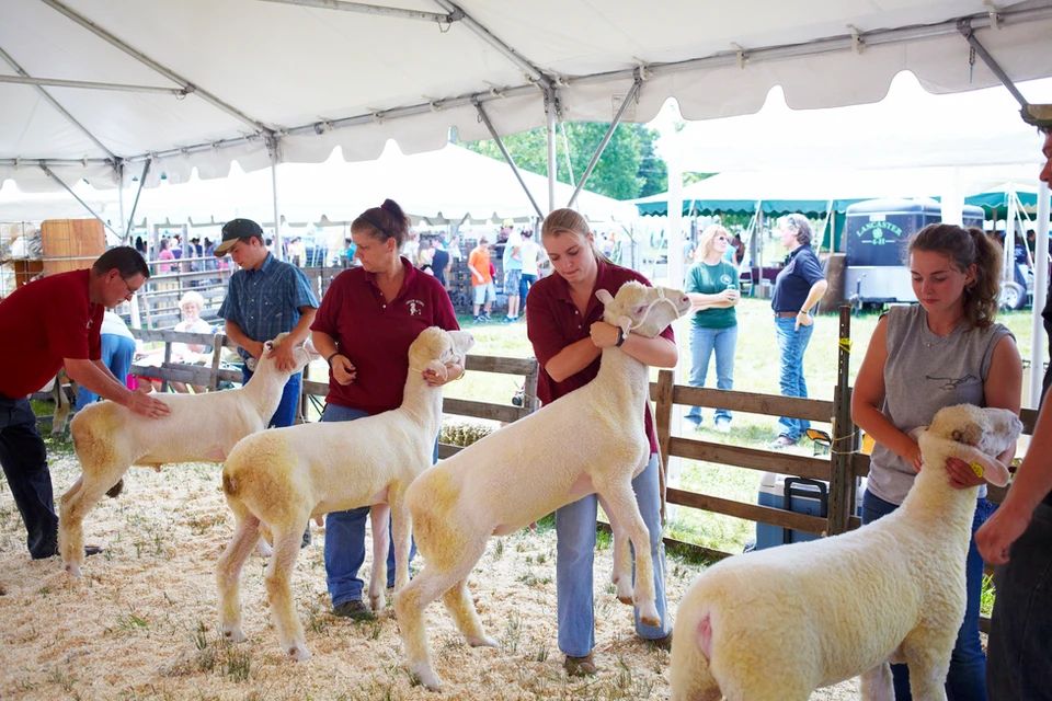 The 140th Bolton Fair [08/11/23]