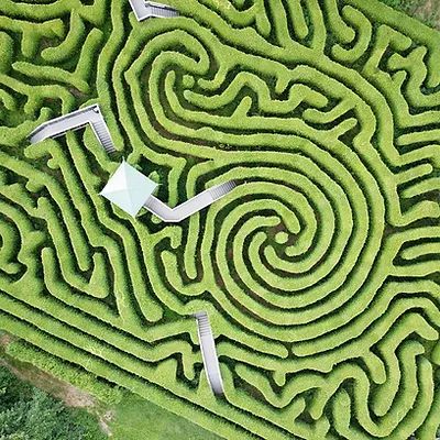 Honey Pot Hill Orchards Corn Maze [09/01/23]