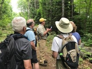 Guided Birdwatching Class in Stoneham MA by Hoamsy [07/14/24]