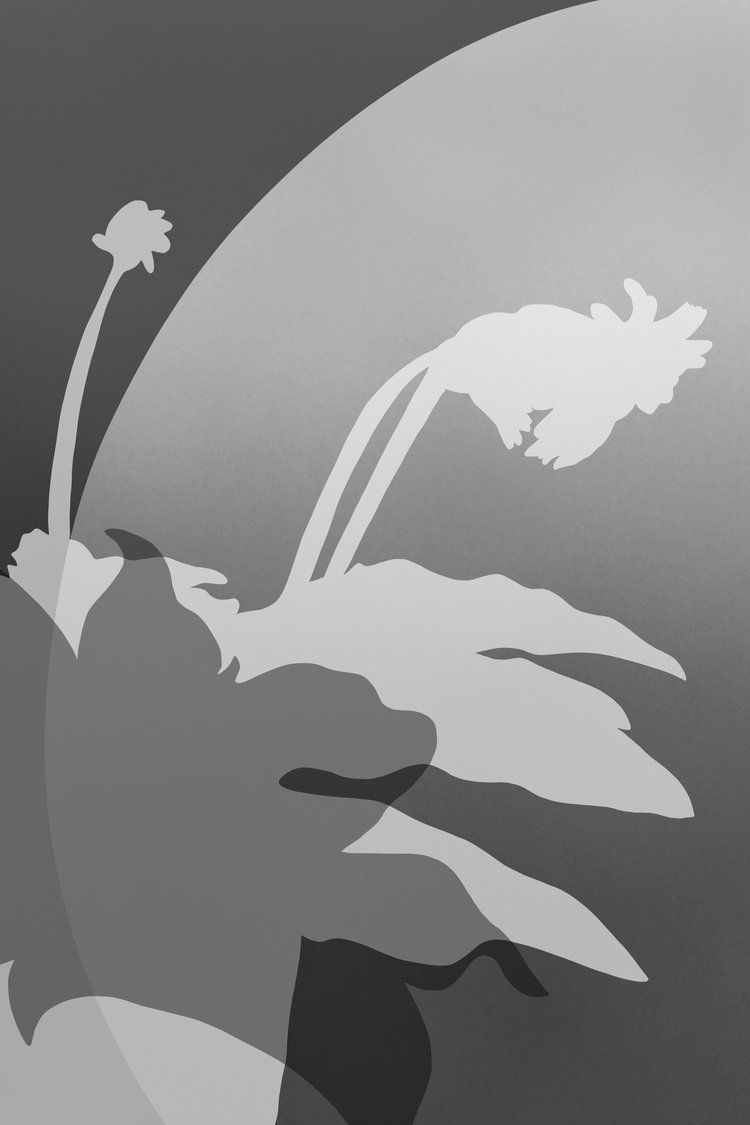 Creative Monotypes: Color Layering & Techniques [07/13/24]