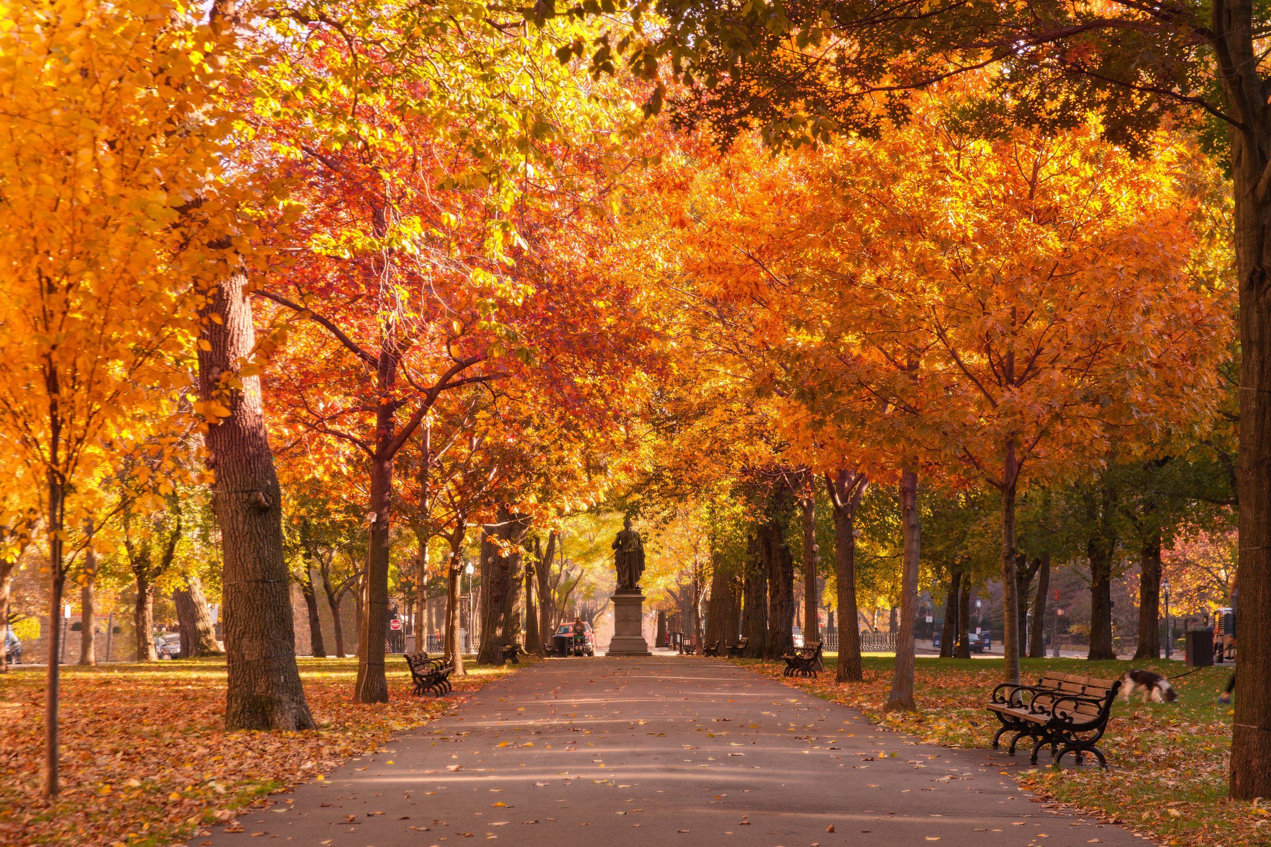 Better Composition: Photo Walk (Boston Common) with Boston Photography Workshops [10/26/25]