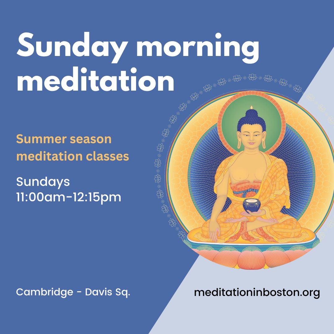Sunday morning meditation - a summer series on training the mind [08/24/25]