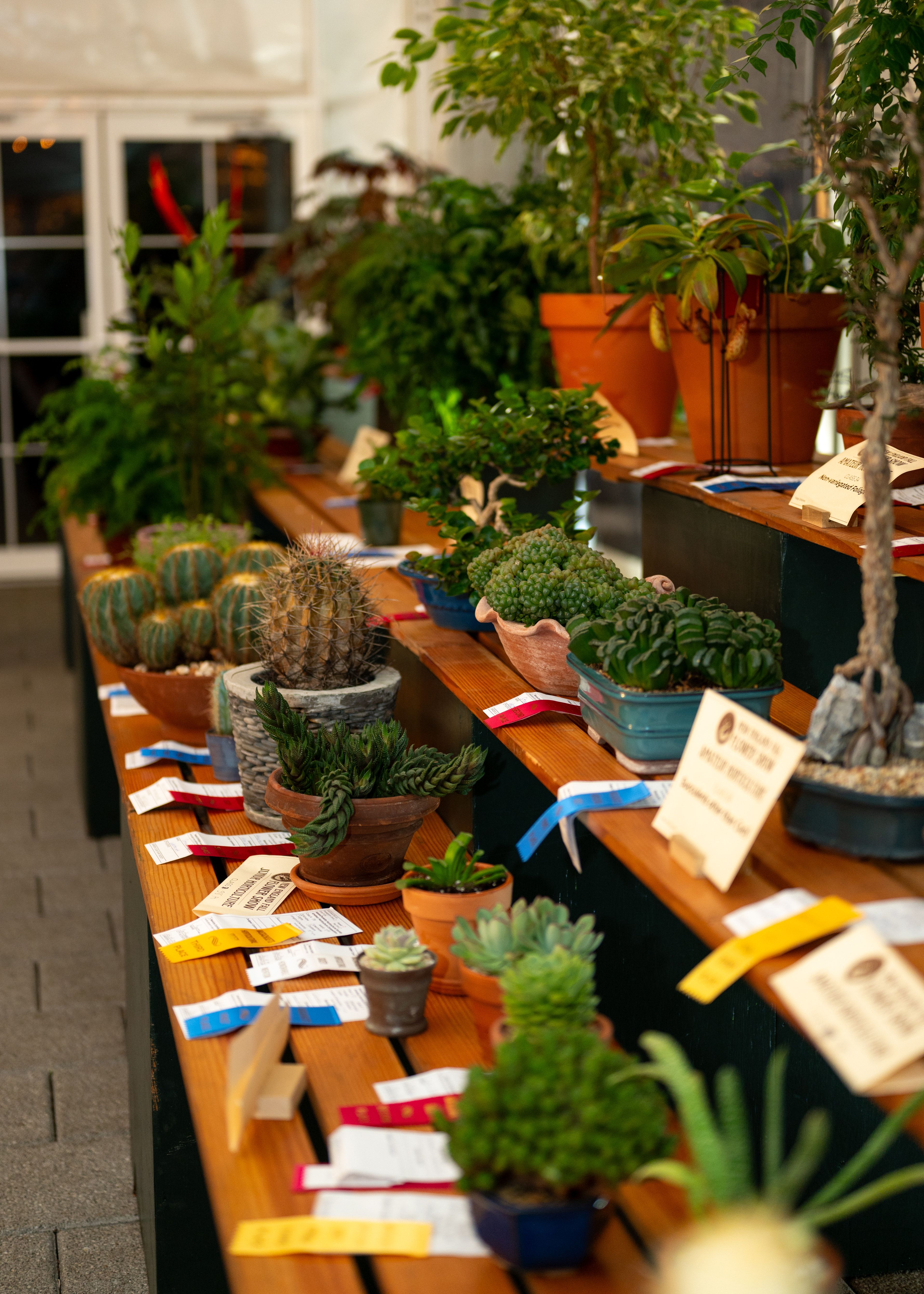 New England Fall Flower Show: World in Bloom [09/20/25]