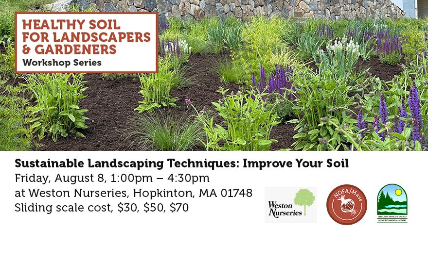 Sustainable Landscaping Techniques: Improve Your Soil with Trevor Smith ...