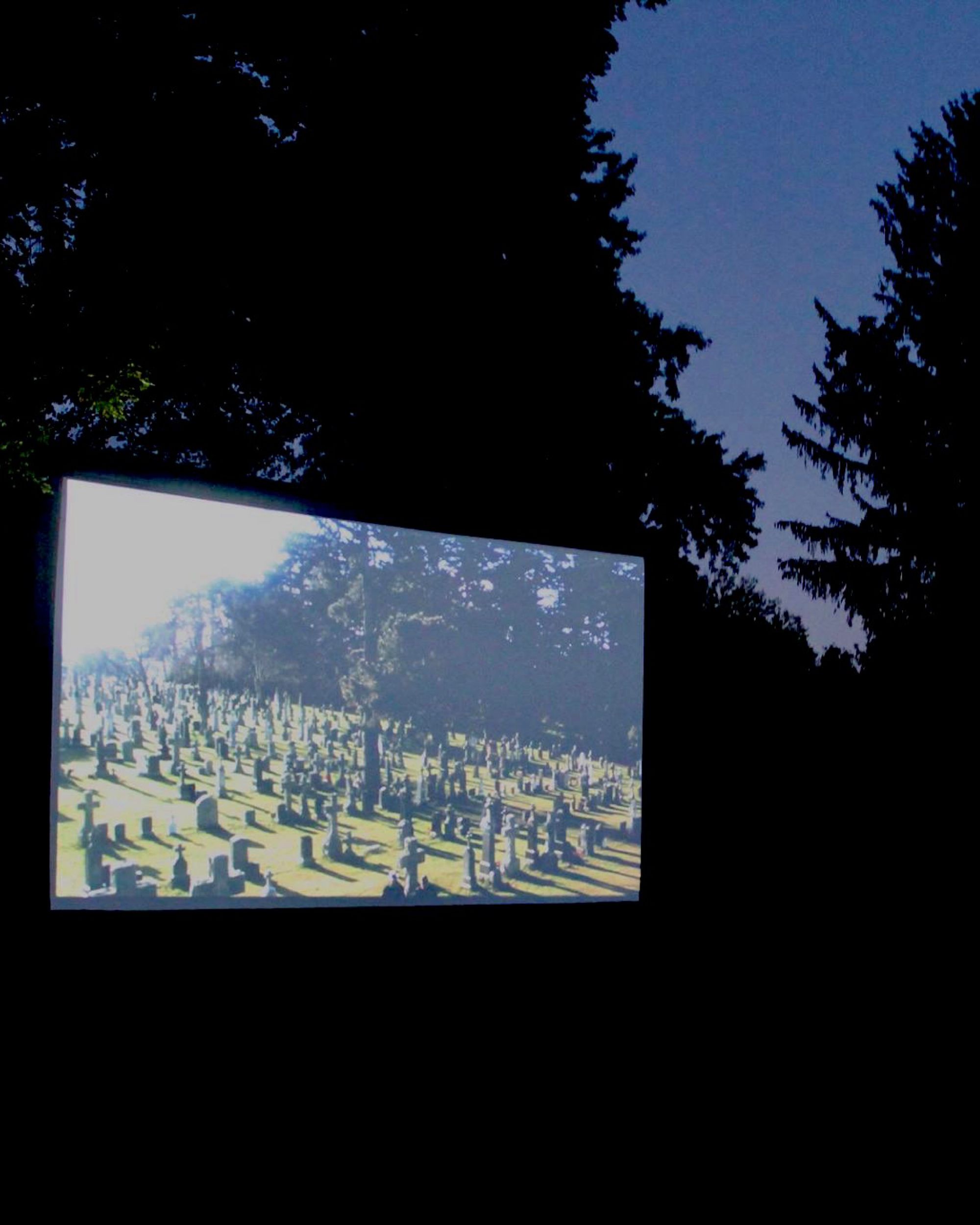 Cemetery Cinema: Outdoor Film Screening at Mount Auburn Cemetery [08/26/25]