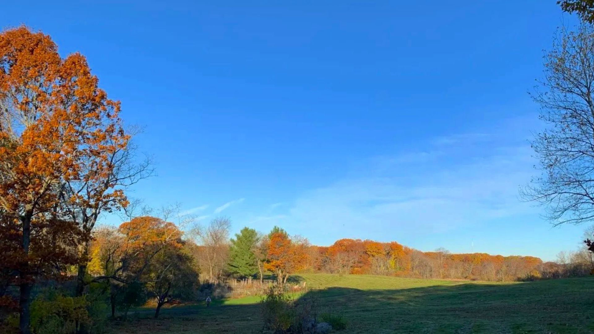 Rock Meadow Conservation Area [09/05/25]