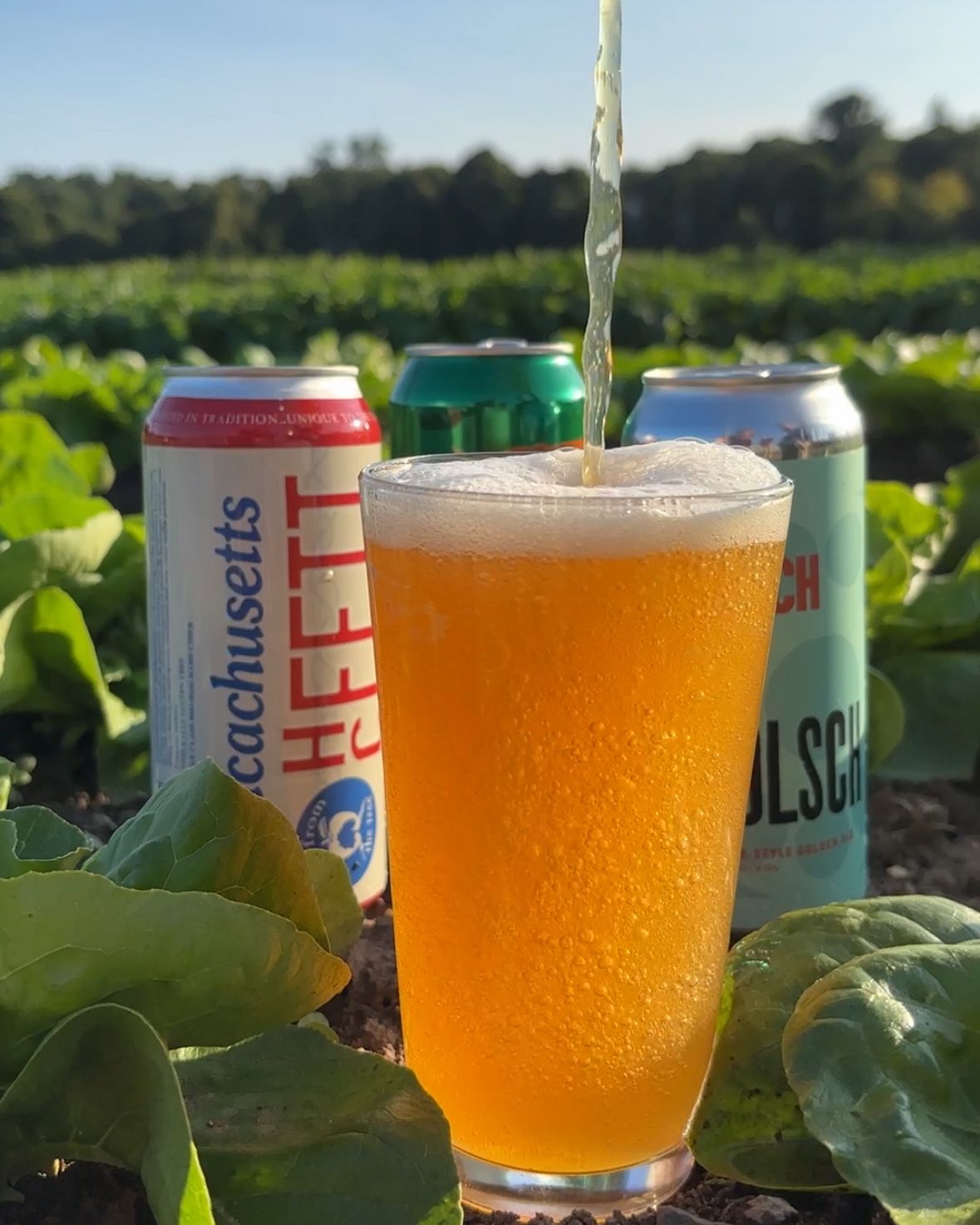 Pop-Up Beer Garden: Hops & Harvest Plates [10/02/25]