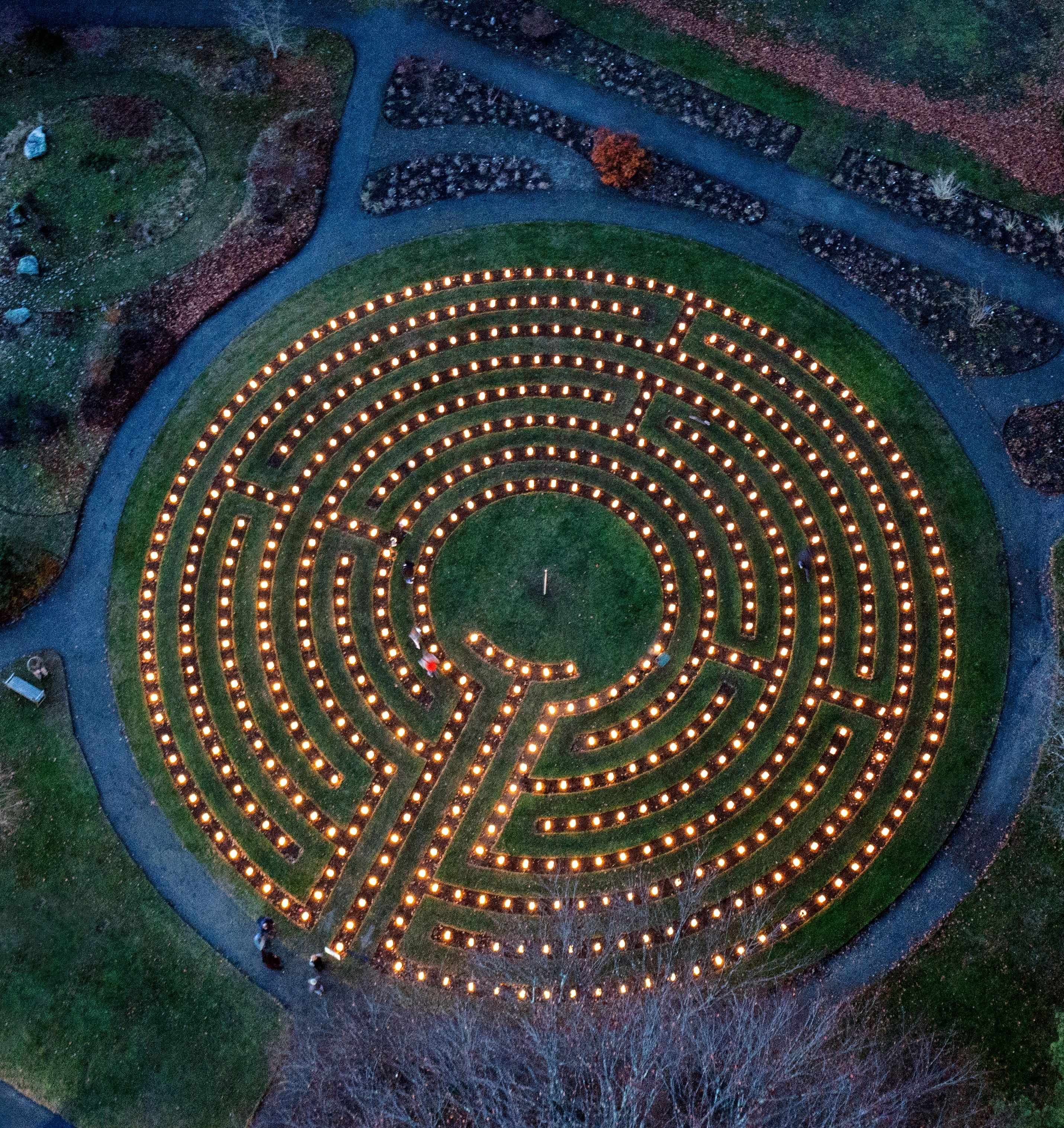 17th Annual Festival of Trees [11/28/25]