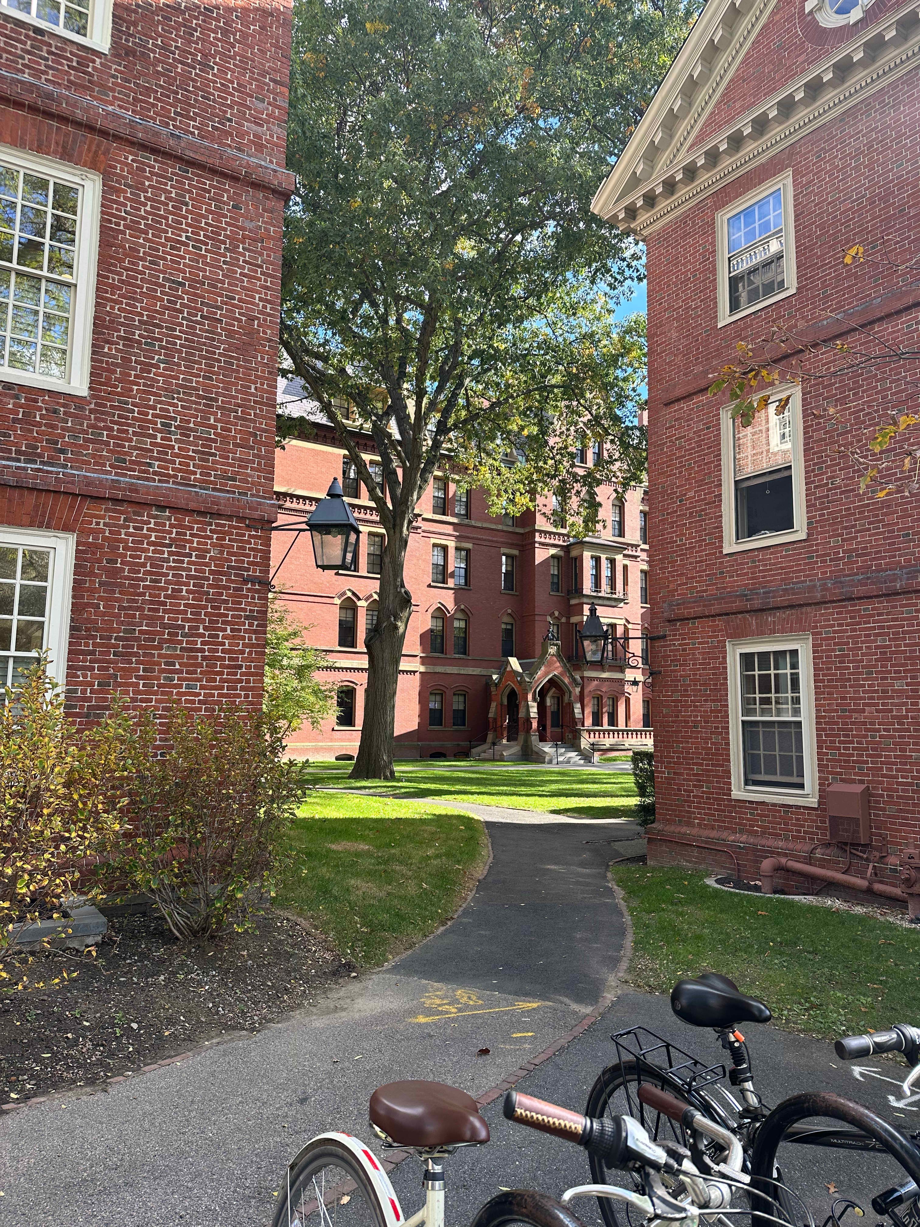 An afternoon in Harvard Square | Cambridge [10/01/25]