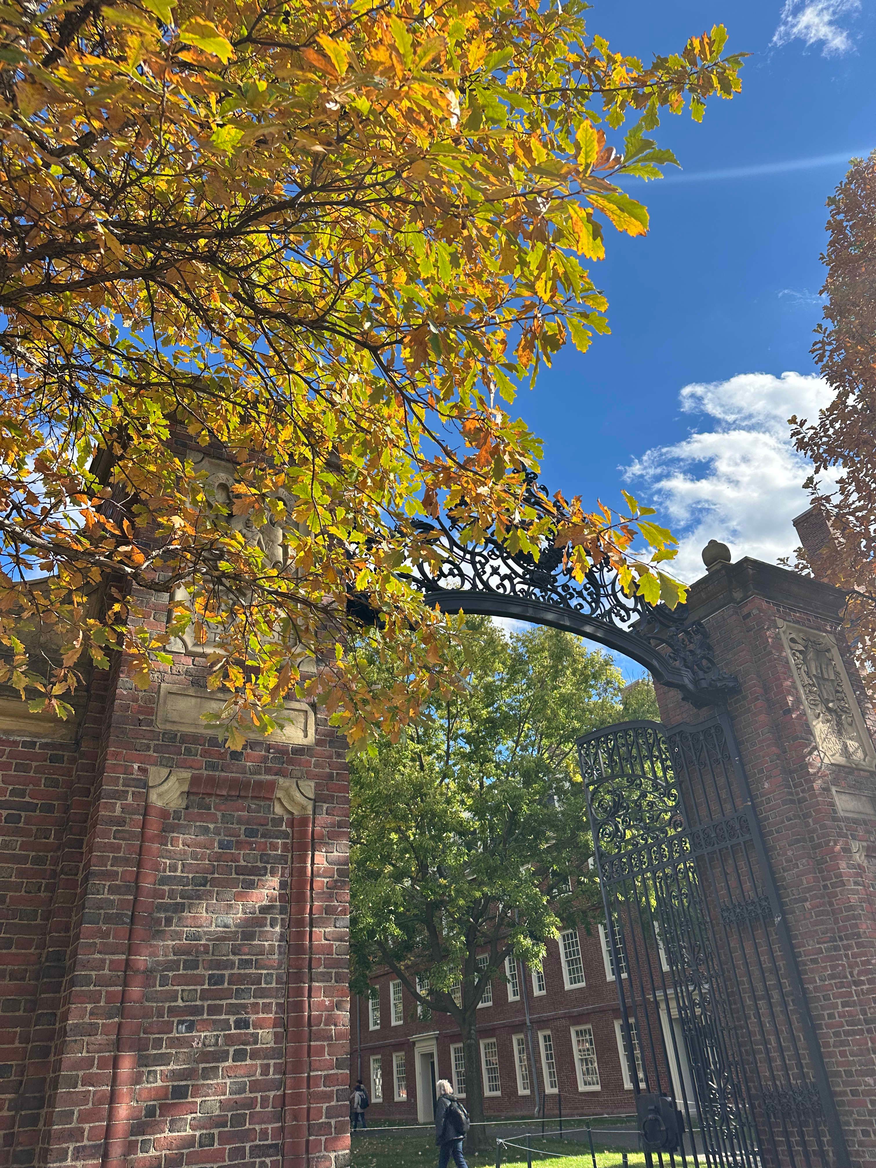 An afternoon in Harvard Square | Cambridge [10/01/25]