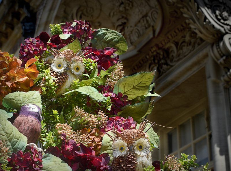 Christmas at Castle Hill on the Crane Estate: Day Trip from Boston [12 ...