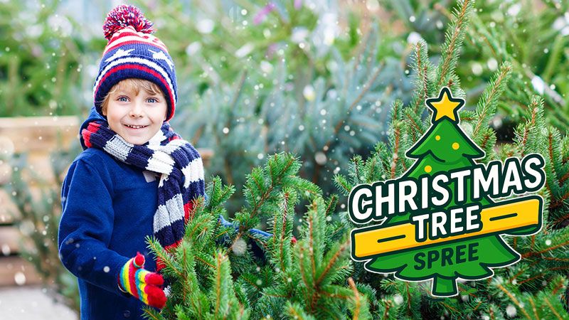 Christmas Tree Spree [11/28/25]