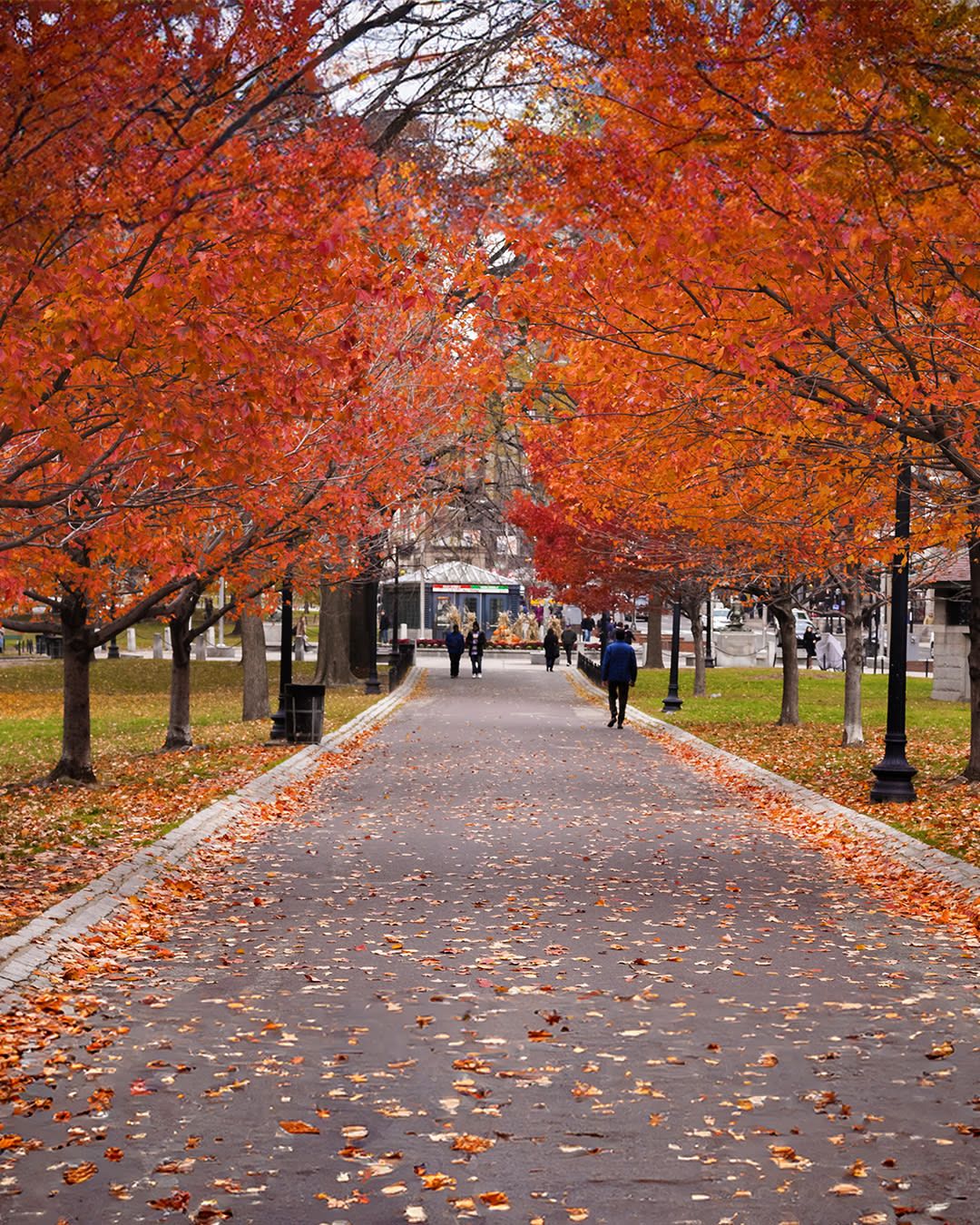 77 things to do in Boston this weekend [11/14/25]