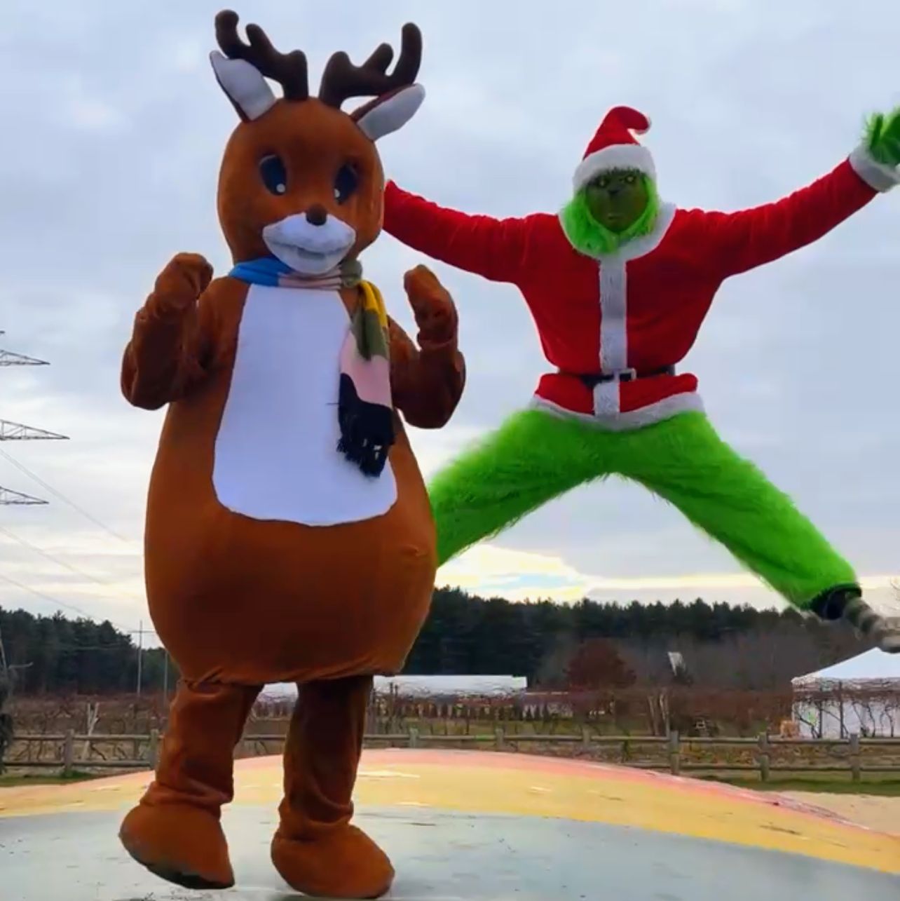 Santa's Farm Festival [11/28/25]