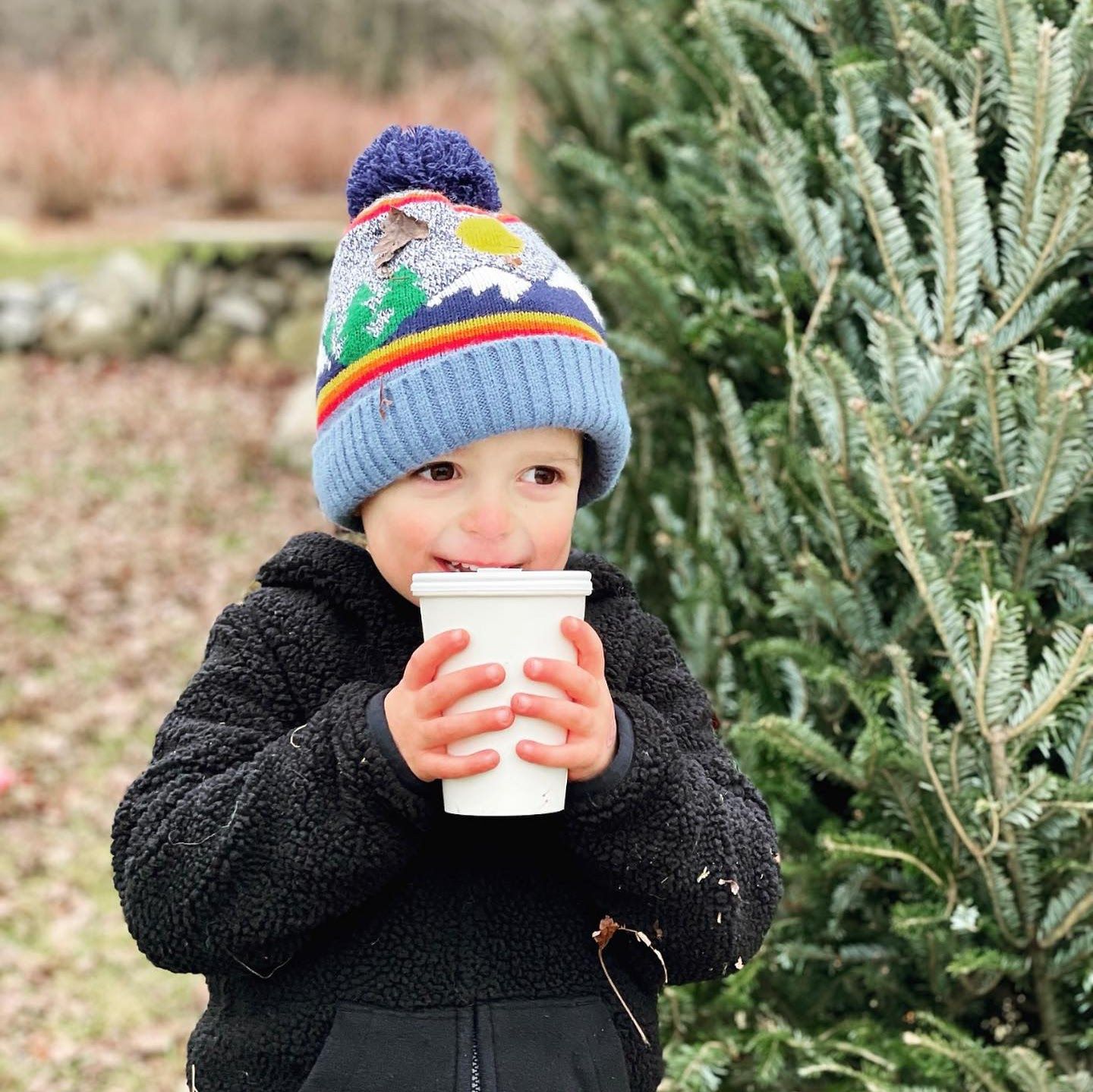 Santa's Farm Festival [11/28/25]