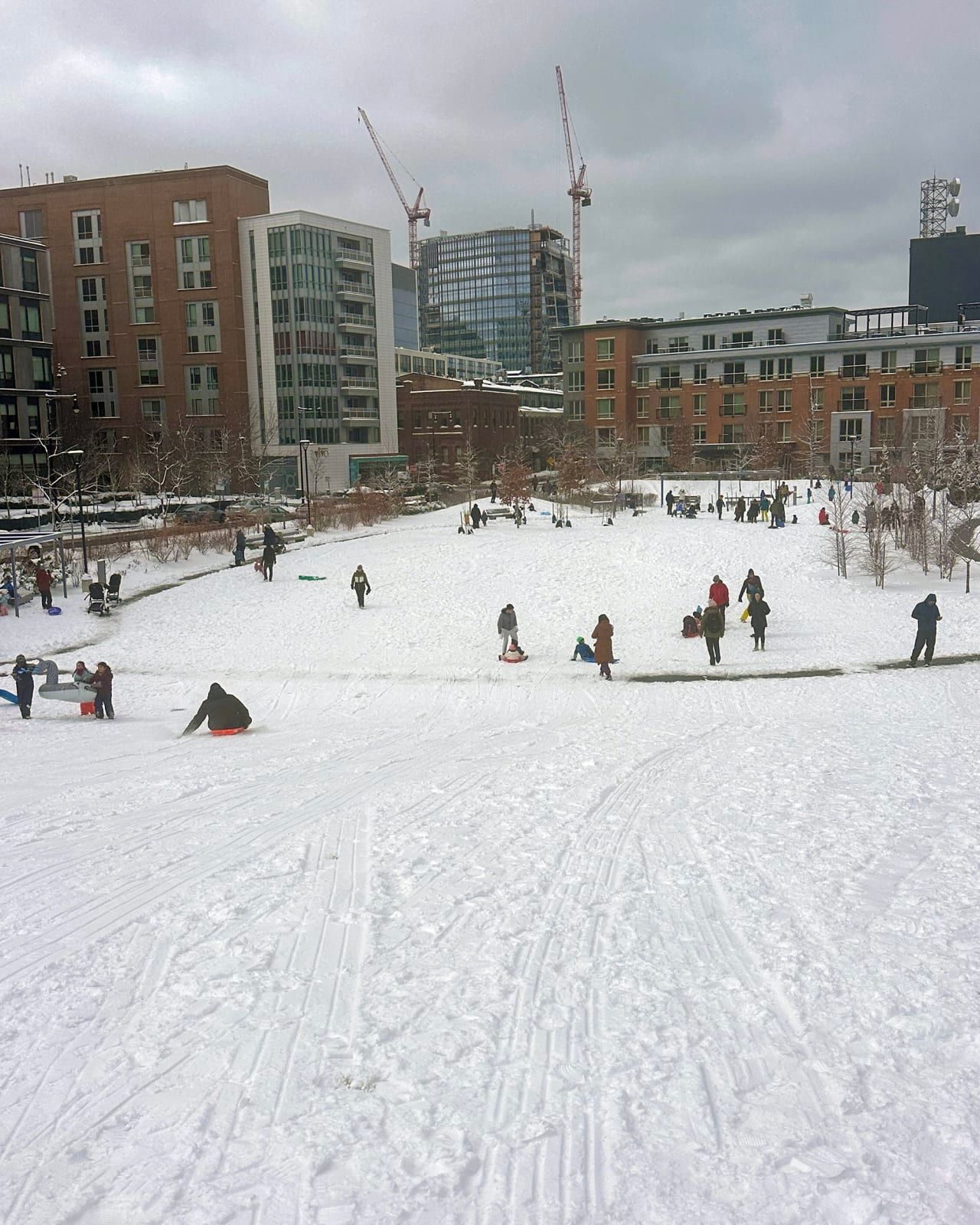 Sledding at Cambridge's Timothy J. Toomey, Jr. Park [12/27/25]