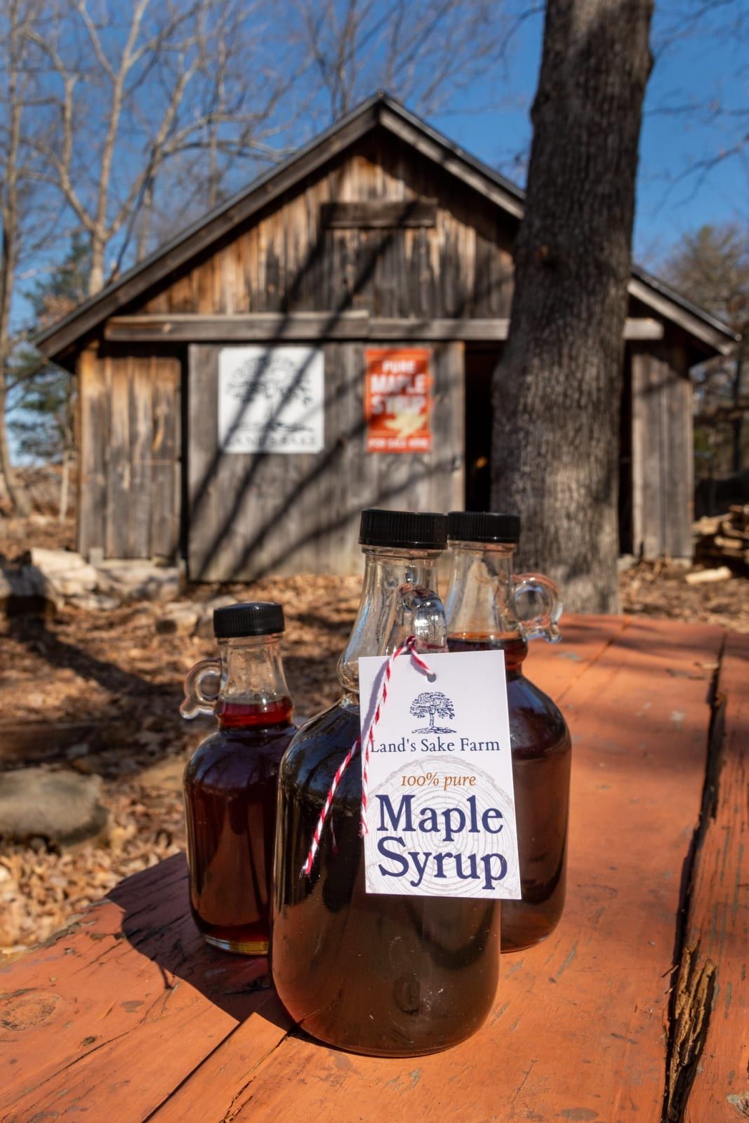 Maple Sugaring Experience at a Local Farm [03/14/26]