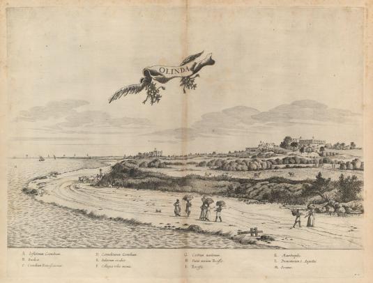 Gallery Talk: The Landscape of Dutch Brazil [08/10/22]